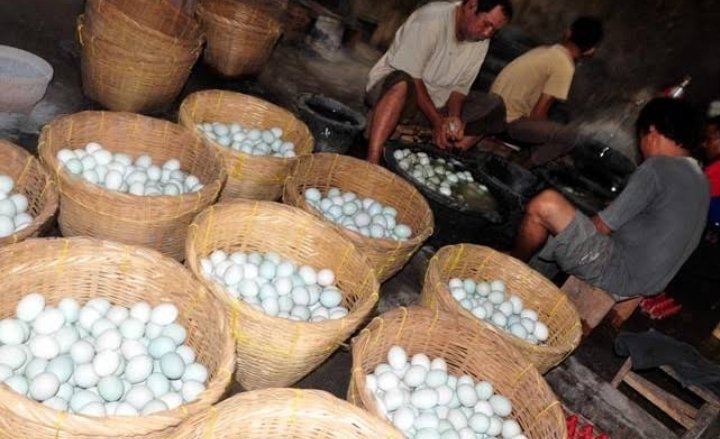 Produk Telur Asin dan Tepung Telur Kabupaten Serang Potensi Diekspor ke ...