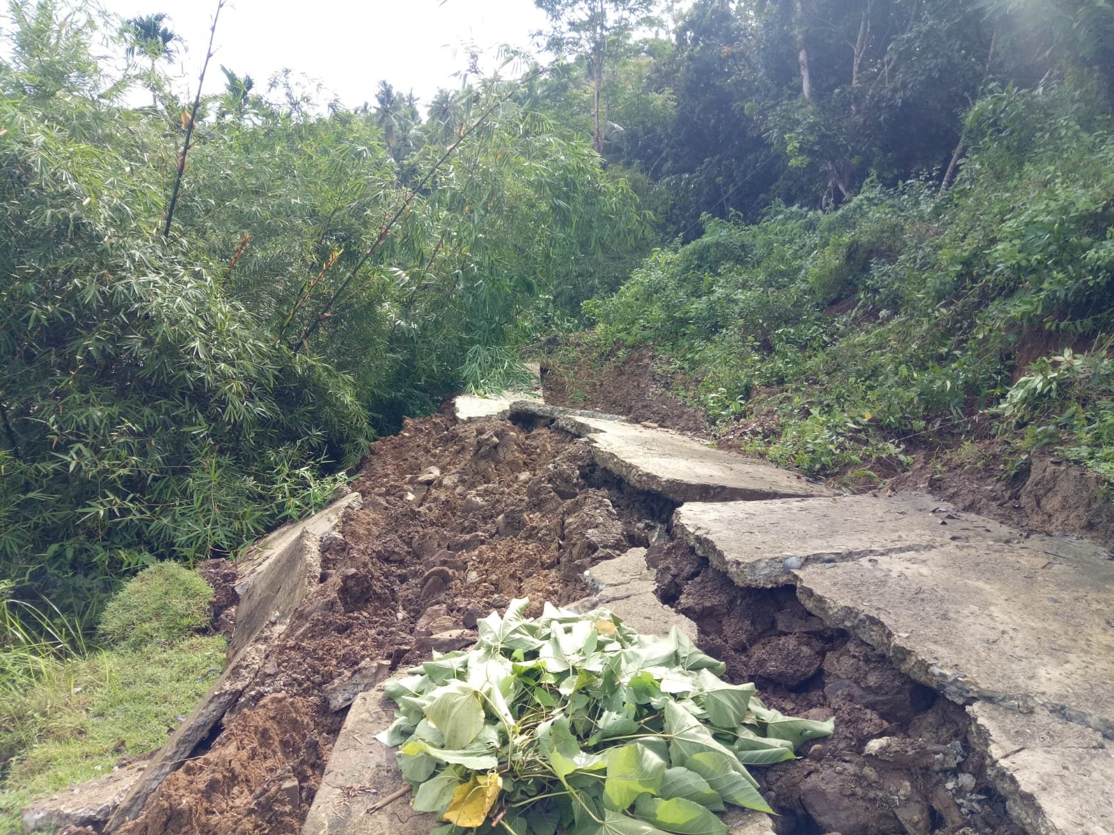 Diguyur Hujan Deras, Jalan Poros Desa di Lebak Longsor | BantenNews.co ...