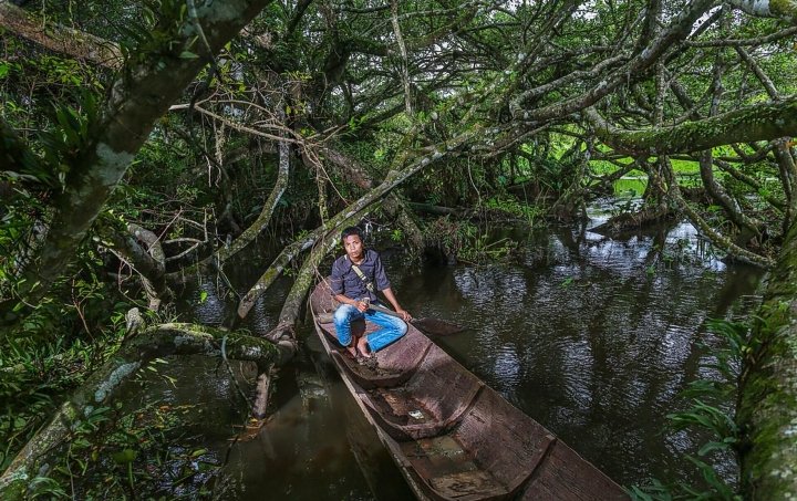 Rawa Danau, Cagar Alam Peninggalan Purba di Kabupaten Serang ...